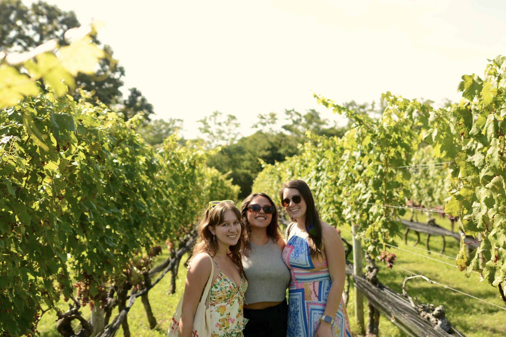 Cape Cod 3-Day Weekend Itinerary - THAT PLANNER FRIEND
