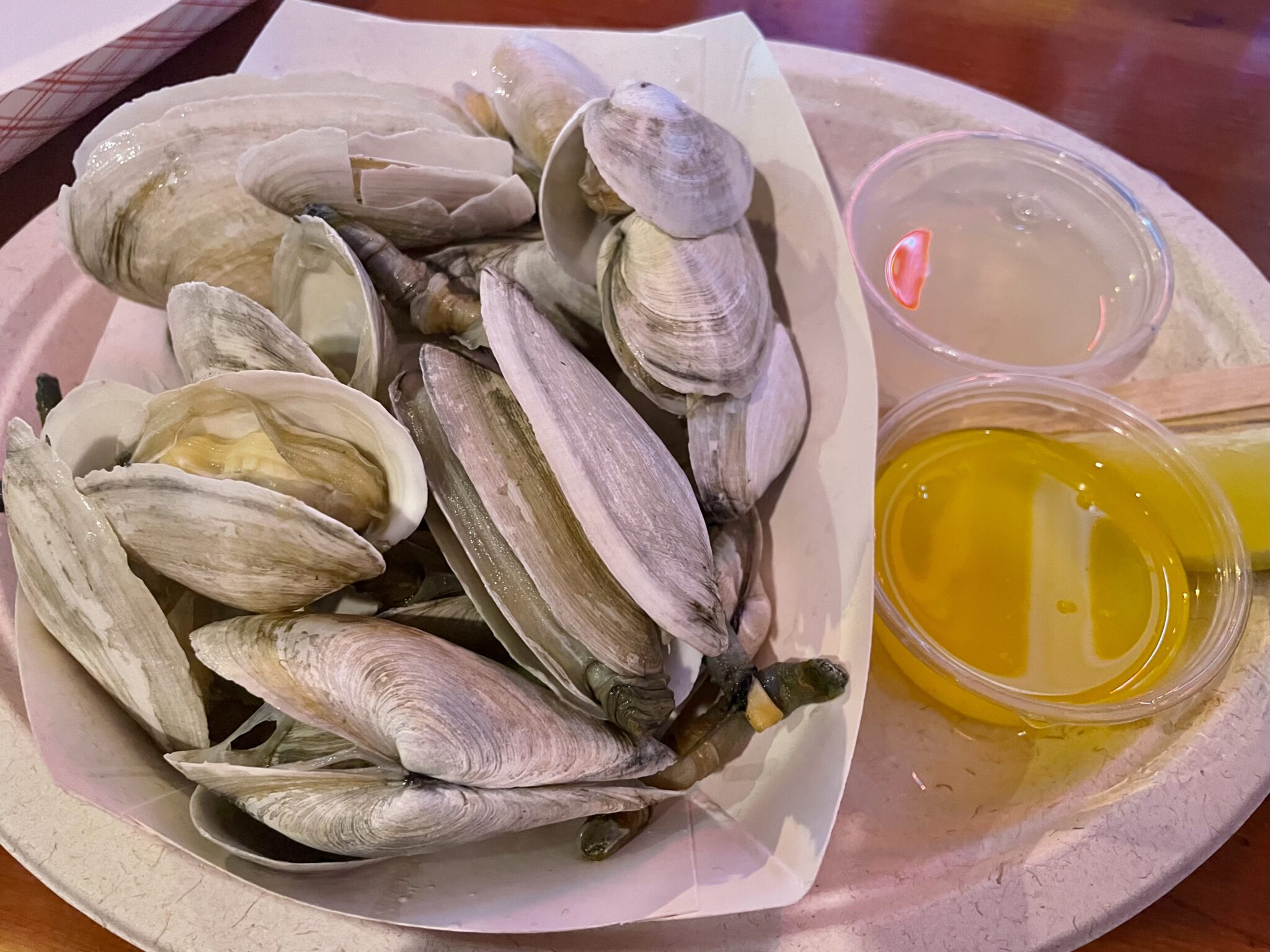 10 Things To Do in Cape Cod - THAT PLANNER FRIEND