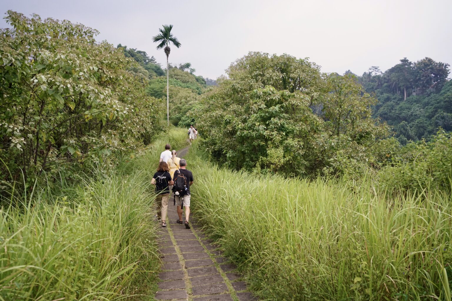 The Best of Ubud, Bali - THAT PLANNER FRIEND